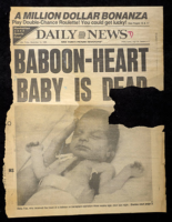 Caso Baby Fae: Por que havia tantos babuínos para retirada do coração ...